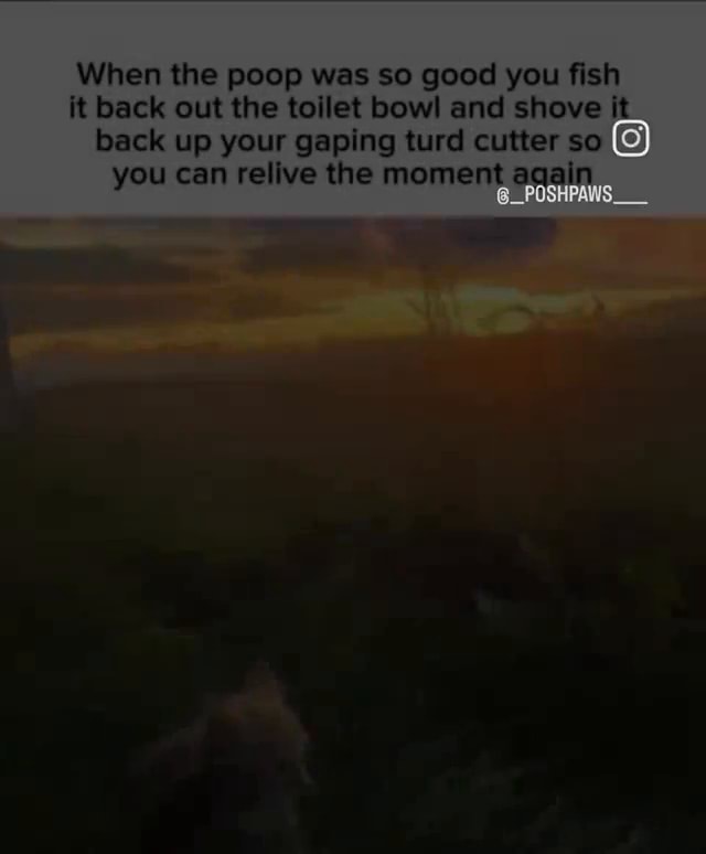 When the poop was so good you fish it back out the toilet bow! and ...