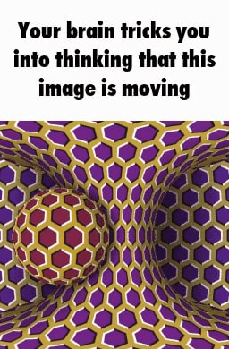 Your brain tricks you into thinking that this image is moving - iFunny