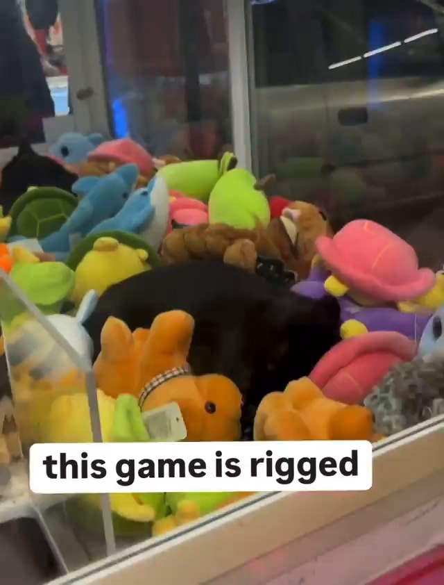 This game is rigged - iFunny