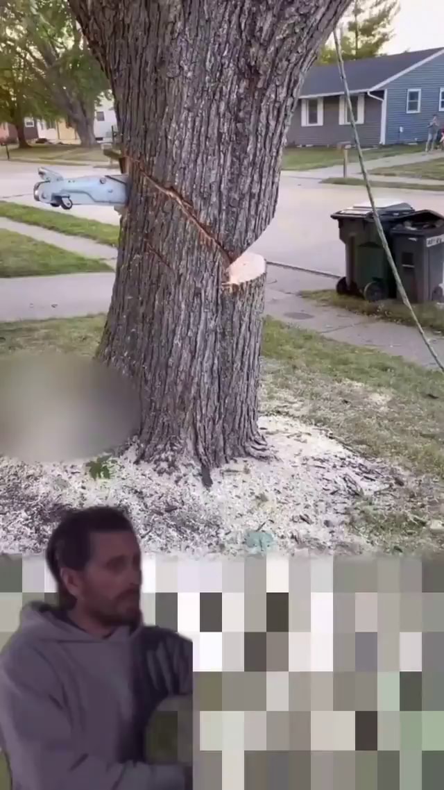 Video memes zaaceqKzA by THE_PSYCHO_WOLF_: 139 comments - iFunny