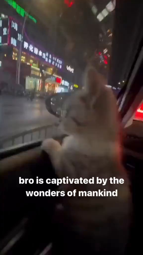 Bro is captivated by the wonders of mankind - iFunny