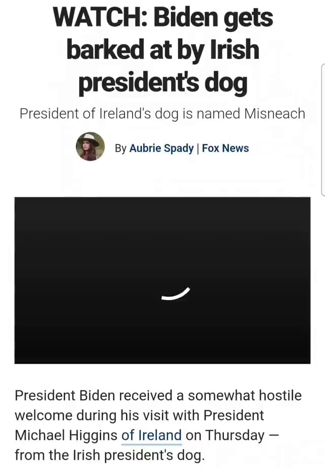 WATCH: Biden gets barked at by Irish president's dog President of ...