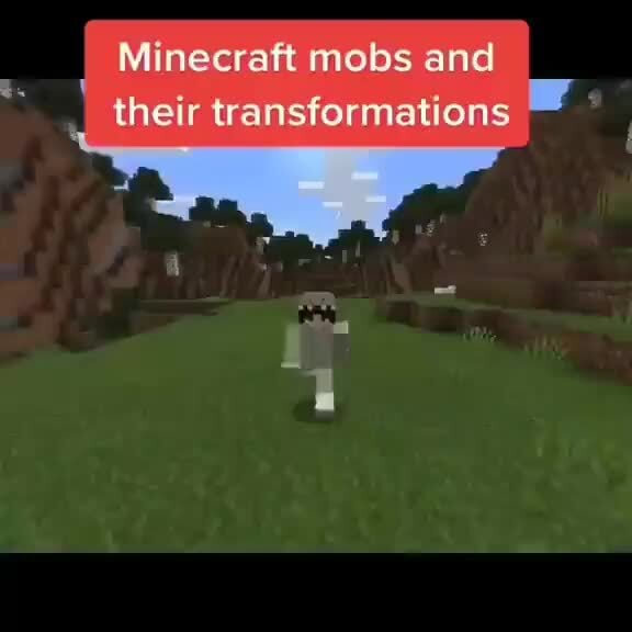 Minecraft mobs and their transformations - iFunny
