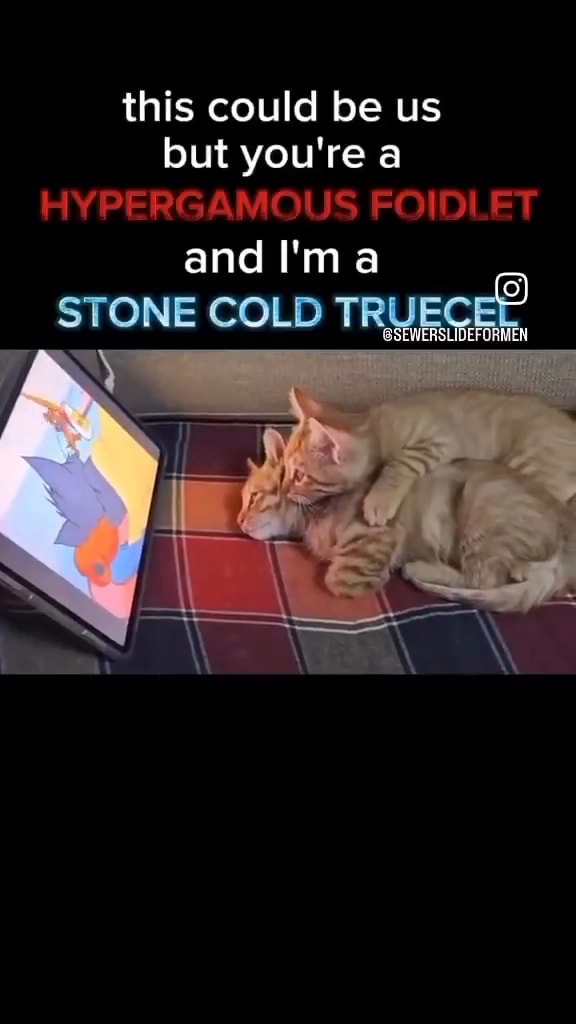 This could be us but you're a HYPERGAMOUS ET and I'm a STONE COLO ...