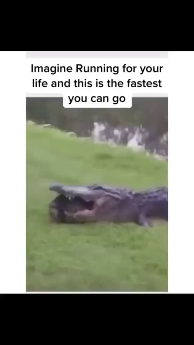 Imagine Running for your life and this is the fastest you can go - iFunny