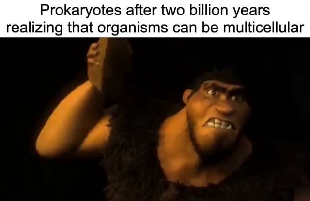 Prokaryotes after two billion years realizing that organisms can be ...