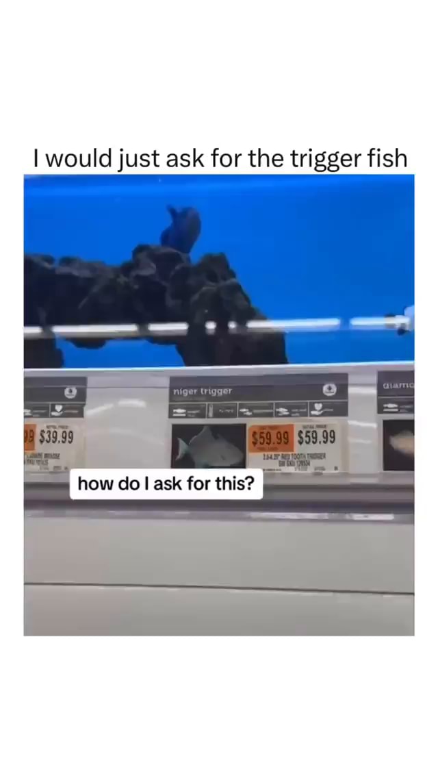 “That one” (Via: tiktok/ookamiosu_ttv) #memes #memesdaily #memesviral # ...