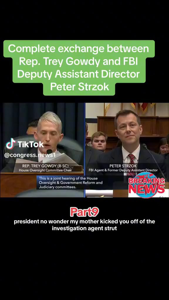 Memes - Complete exchange between Rep. Trey Gowdy and FBI Deputy ...