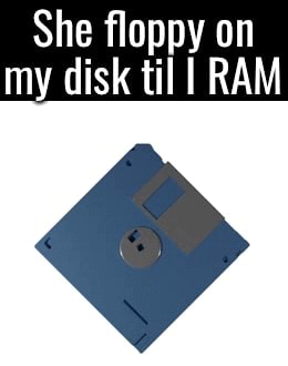She floppy on my disk til I RAM - iFunny