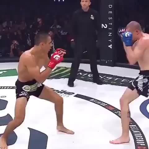 Big Eddie on Instagram: “Aaron Pico is a future world champion! #AaronPico #bellator #mma # ...