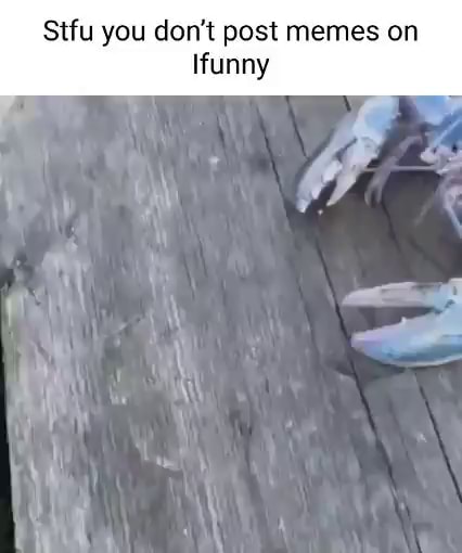 Stfu you don't post memes on tfunny - iFunny