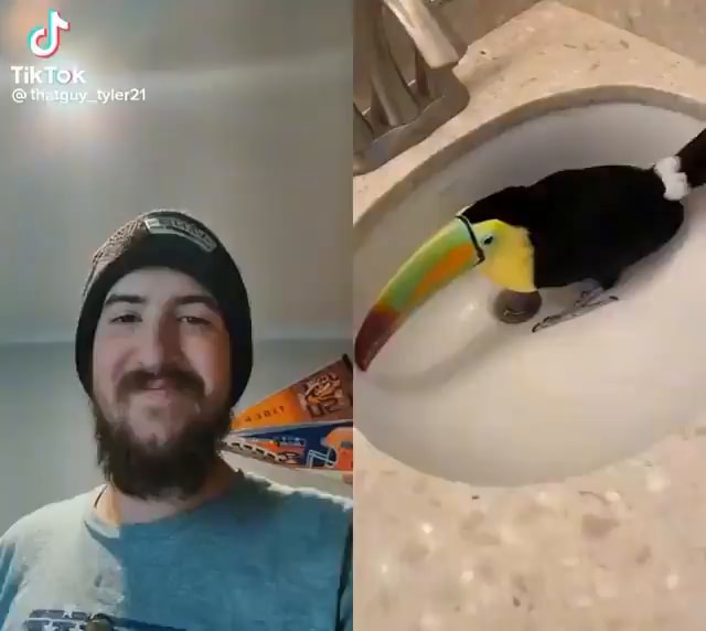 TikTOK guy ty - iFunny