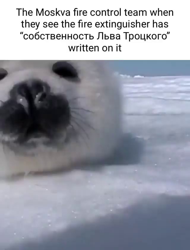 The Moskva fire control team when they see the fire extinguisher has ...