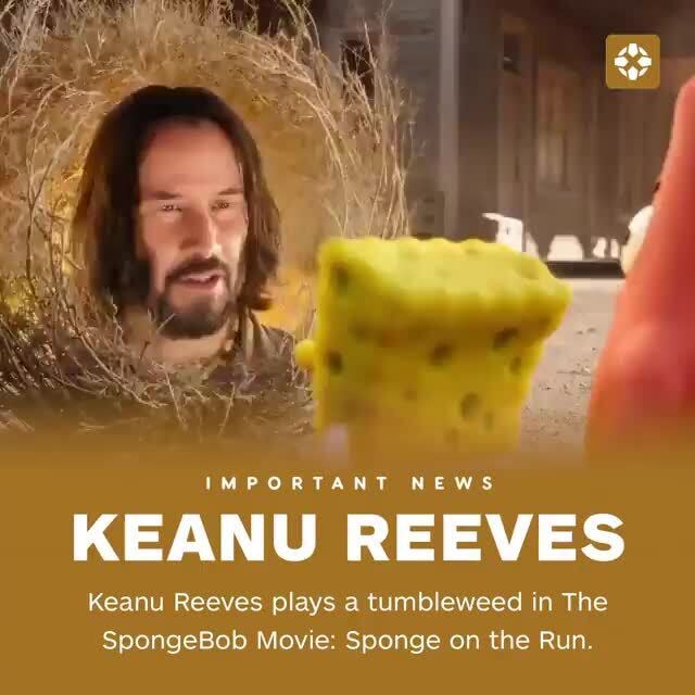 IMPDRYANY NEWS KEANU REEVES Keanu Reeves plays a tumbleweed in The ...