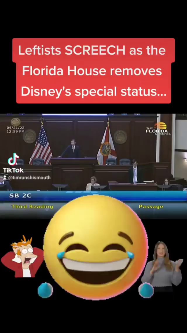 Leftists SCREECH as the Florida House removes Disney's special status ...