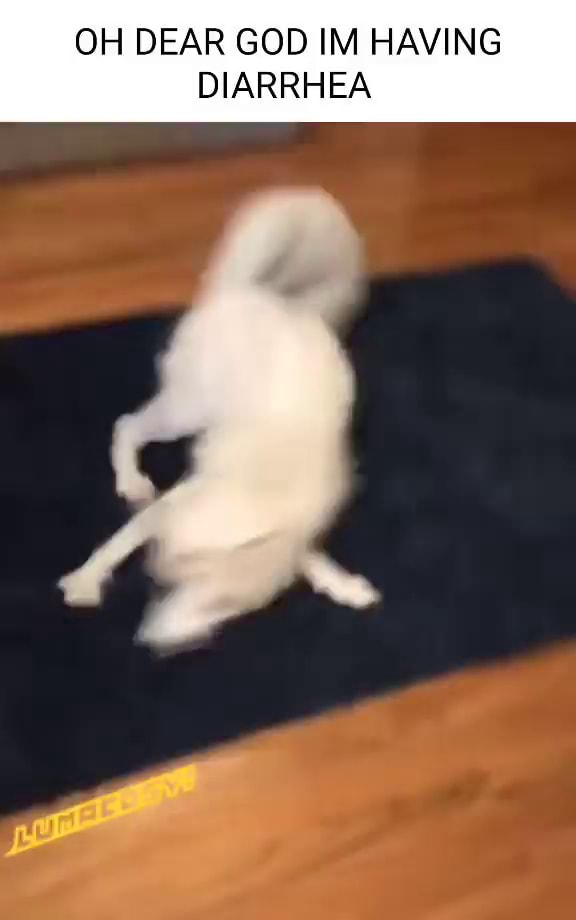 OH DEAR GOD IM HAVING DIARRHEA - iFunny