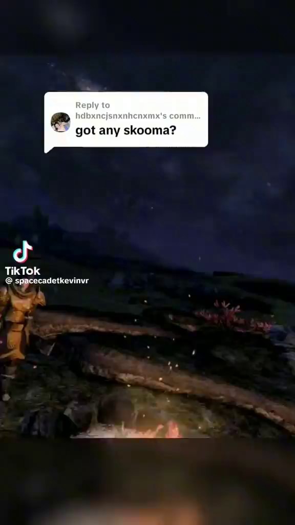 Reply to got any skooma? TikTok - iFunny