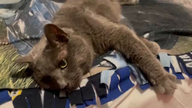 Video memes FuAoP0O3B by 1994_BMW_325i: 2 comments - iFunny