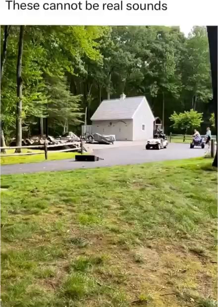 These cannot be real sounds - iFunny