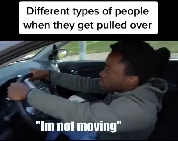 Different types of people when they get pulled over "Im not moving ...