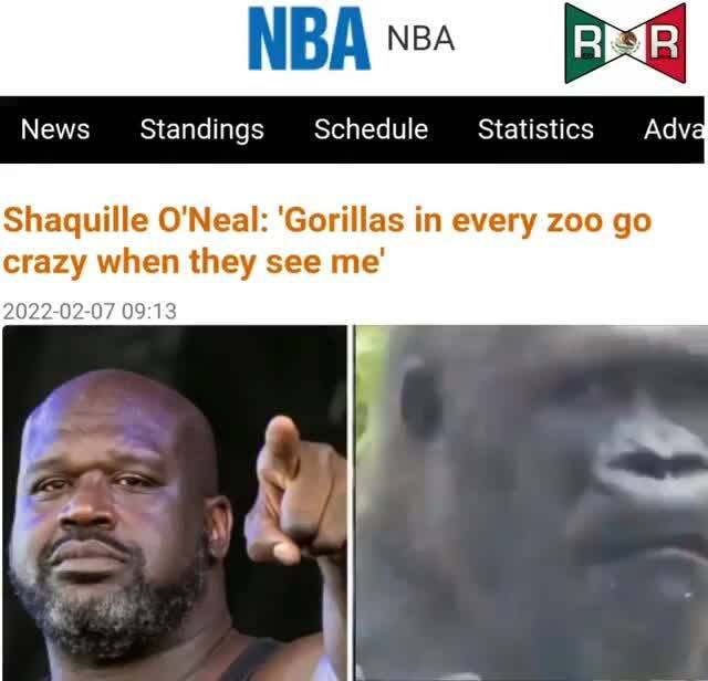 News Standings Schedule Statistics Adva Shaquille O'Neal: 'Gorillas in ...