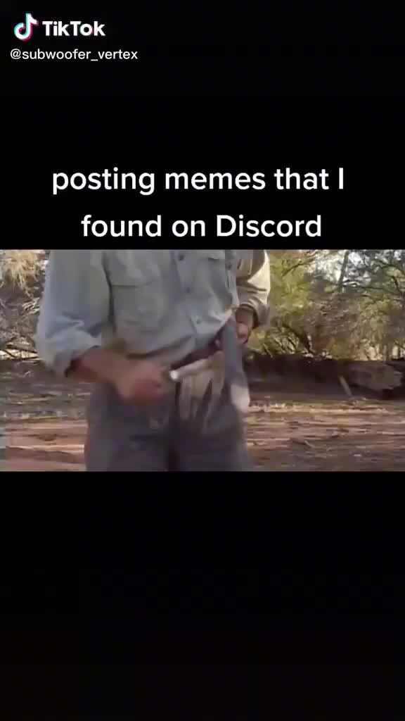 Ch TikTok @subwoofer_vertex posting memes that I found on Discord - iFunny