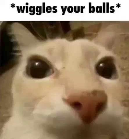 *wiggles your balls* - iFunny Brazil