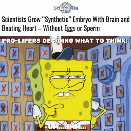 Scientists Grow "Synthetic" Embryo With Brain and Beating Heart Without ...