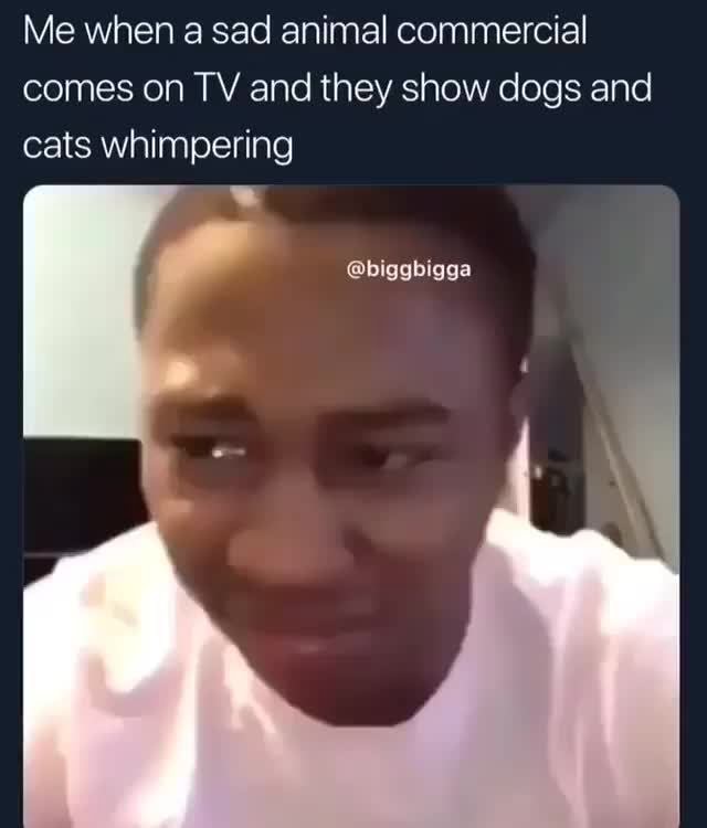 Me when a sad animal commercial comes on TV and they show dogs and cats ...