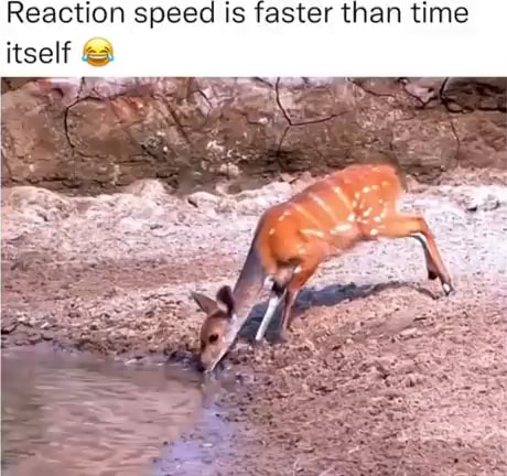 Reaction speed is faster than time itself - iFunny