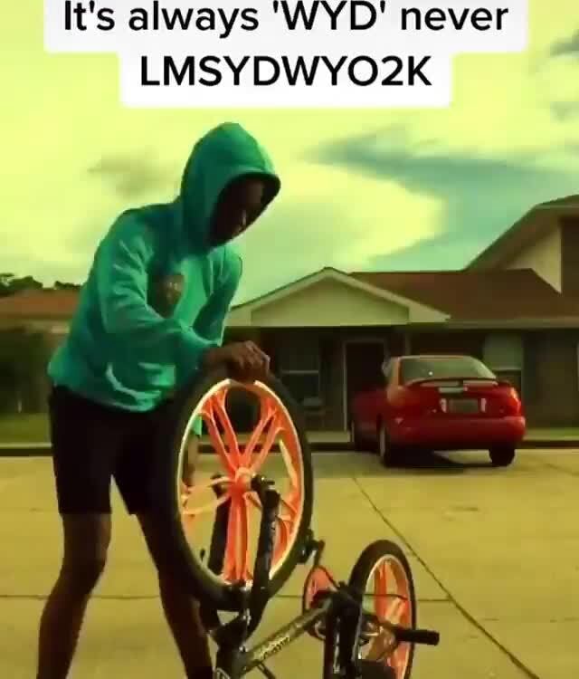 It's always 'WYD' never LMSYDWYO2K - iFunny