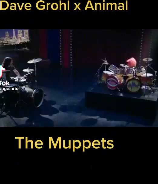 Dave Grohl x Animal The Muppets - iFunny