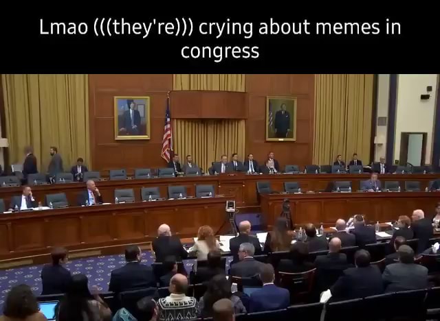 Lmao (((they're))) crying about memes in congress of - iFunny