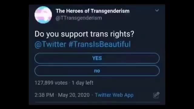 The Heroes of Transgenderism @TTransgenderism Do you support trans ...