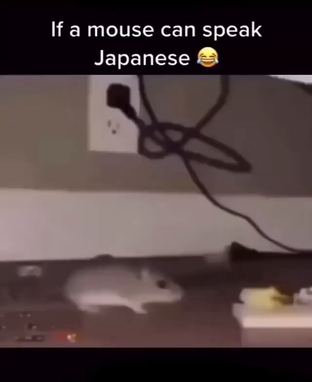 If a mouse can speak Japanese - iFunny