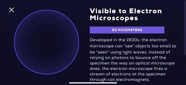 Visible to Electron Microscopes Developed in the 1930s, the electron ...