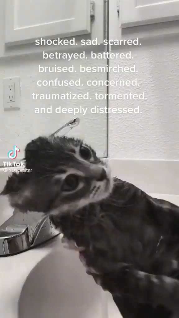 Shocked. sad. scarred. betrayed. battered, bruised. besmirched ...