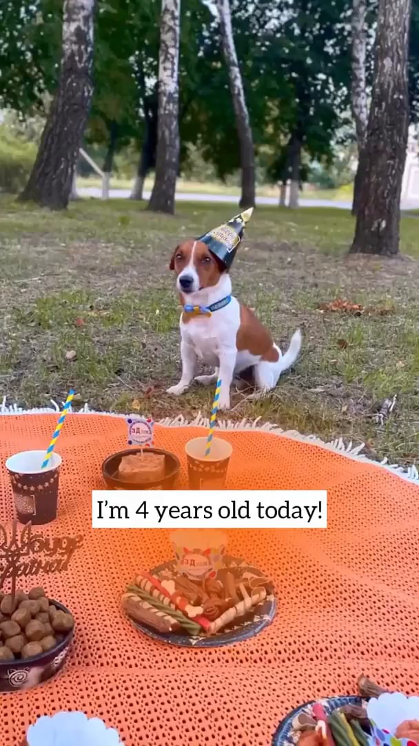 Patron posted a video from his birthday party His fundraiser for a ...