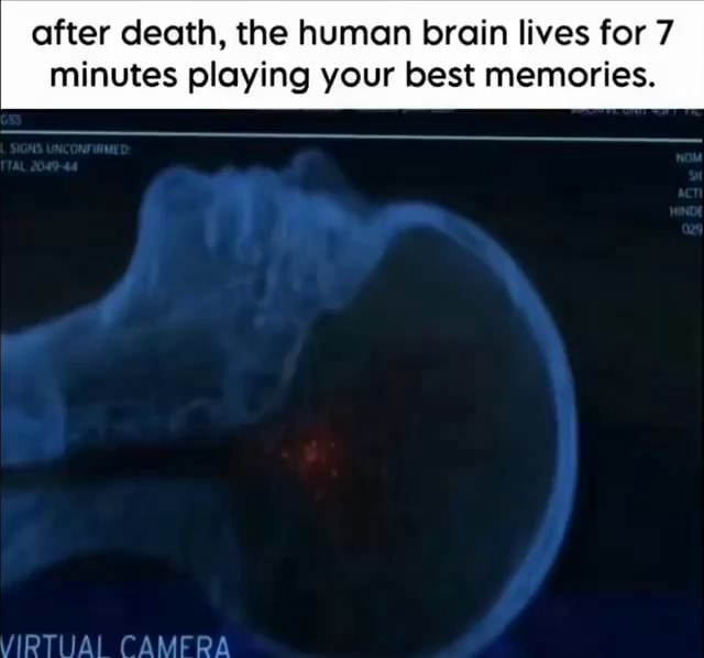 After death, the human brain lives for 7 minutes playing your best ...