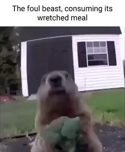 The foul beast, consuming its wretched meal - iFunny