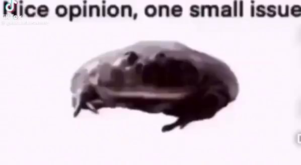 Mice opinion, one small issue - iFunny