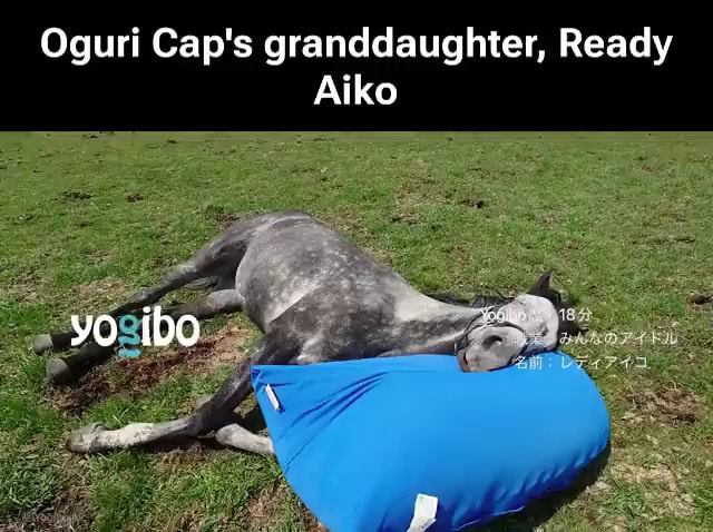 Oguri Cap's granddaughter, Ready Aiko yo ibo - iFunny