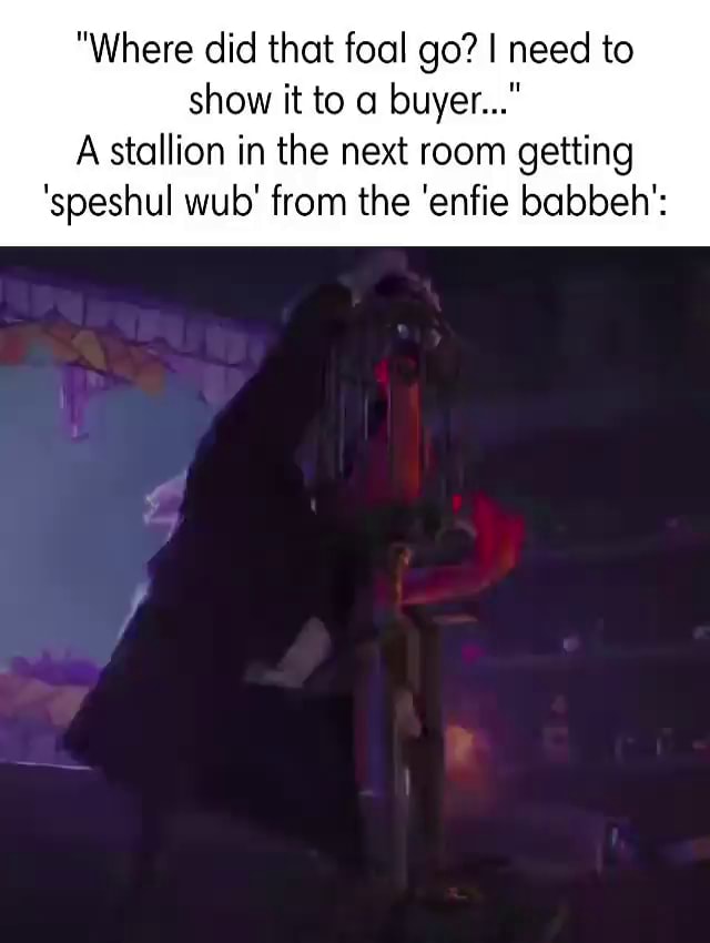 "Where did that foal go? I need to show it to a buyer..." A stallion in ...