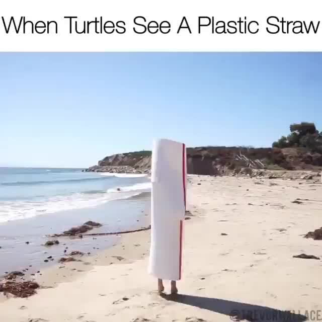 When Turtles See A Plastic Straw - iFunny