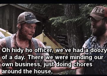 Oh hidy ho officer. we've had a doozy of a day. There we were minding ...