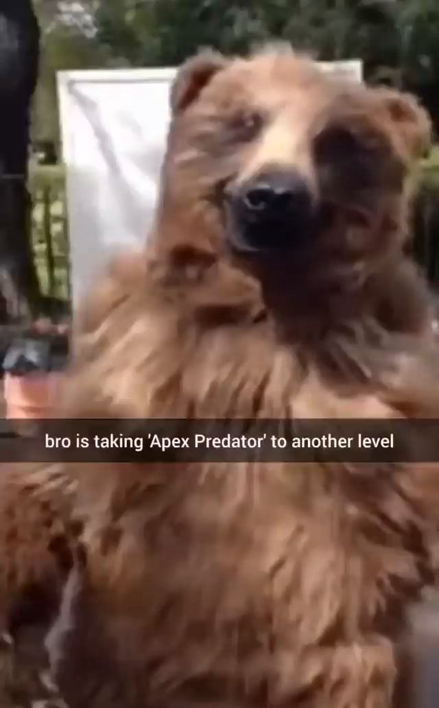 Bro is taking 'Apex Predator' to another level - iFunny