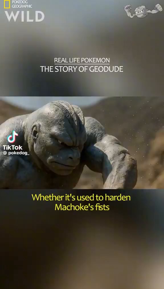 WILD REAL LIFE POKEMON THE STORY OF GEODUDE TikTok Whether it's used to ...
