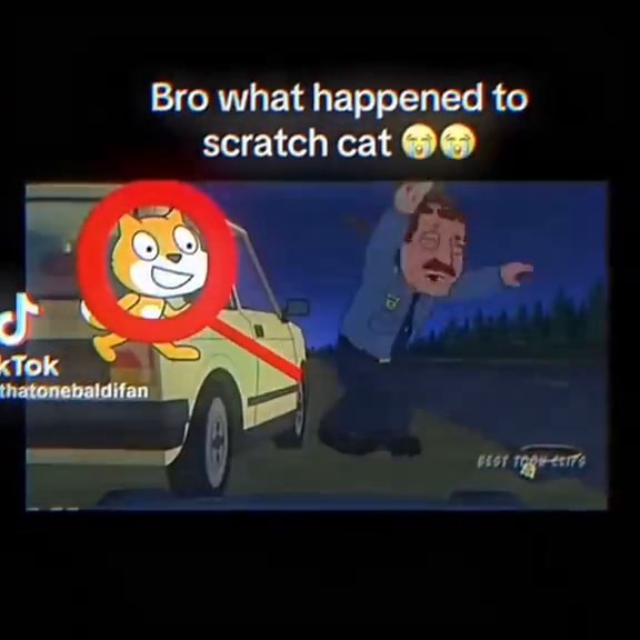 Bro what happened to scratch cat - iFunny