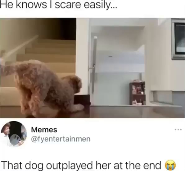 He Knows I scare easily... Memes That dog outplayed her at the end - iFunny