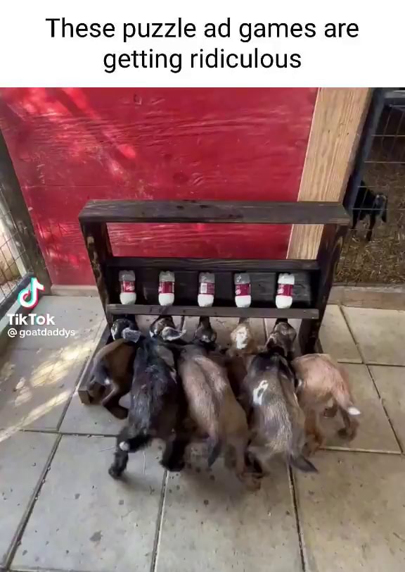 These puzzle ad games are getting ridiculous Tik Tok - iFunny